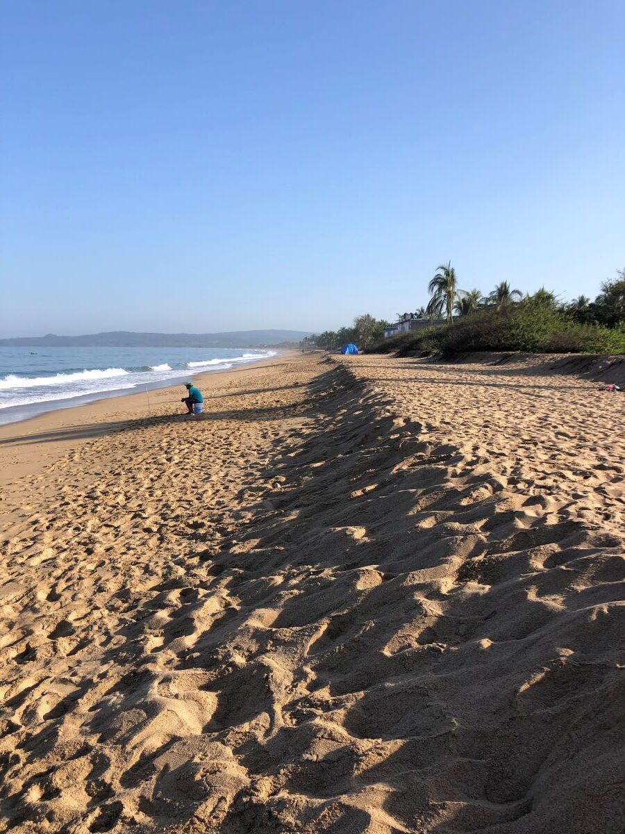 Playa El Naranjo, an Epic & Pristine Beach in Nayarit - lyfe abroad