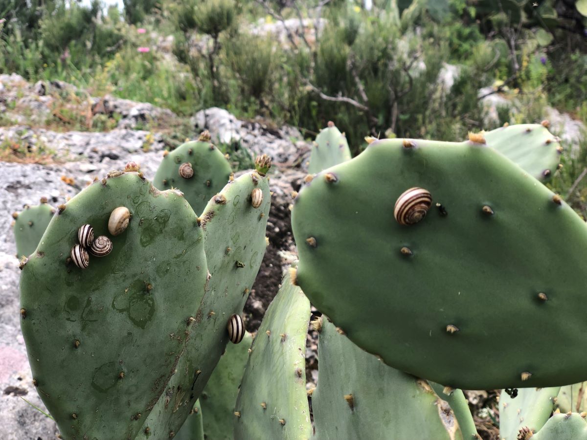 Hiking in Beautiful Marjan Park - lyfe abroad
