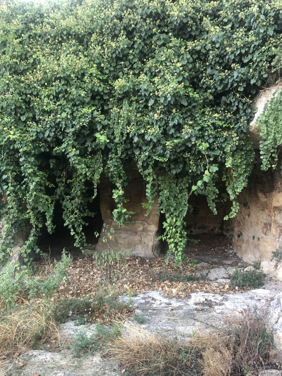 Le Grotte – The Cave Homes - lyfe abroad