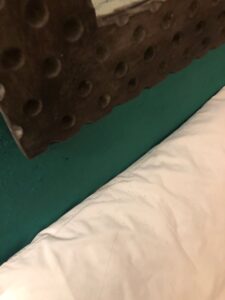 Lets Talk About the Bugs and Insects in Bali - lyfe abroad