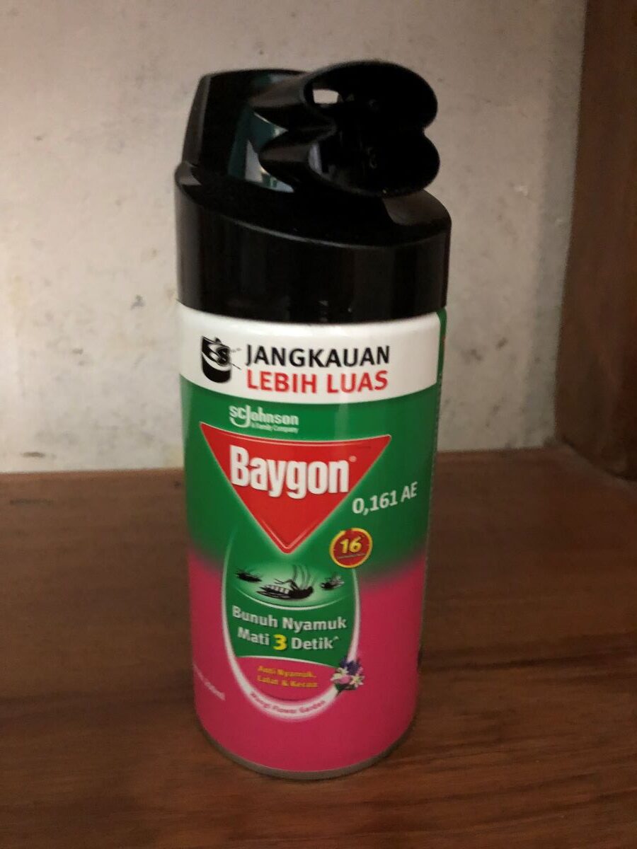 Lets Talk About the Bugs and Insects in Bali - lyfe abroad