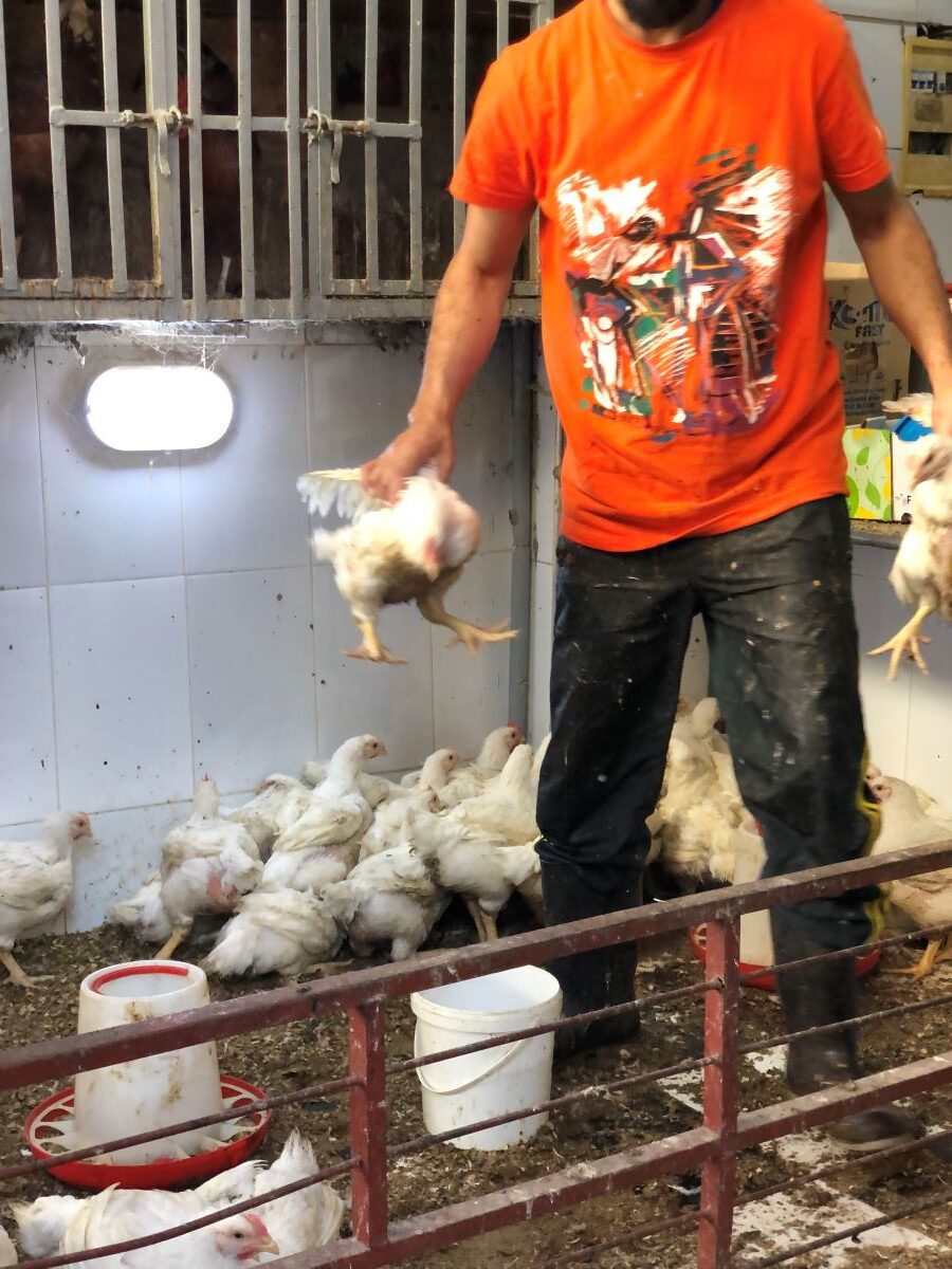 The Grand & Petit Socco of Tangier Morocco - lyfe abroad