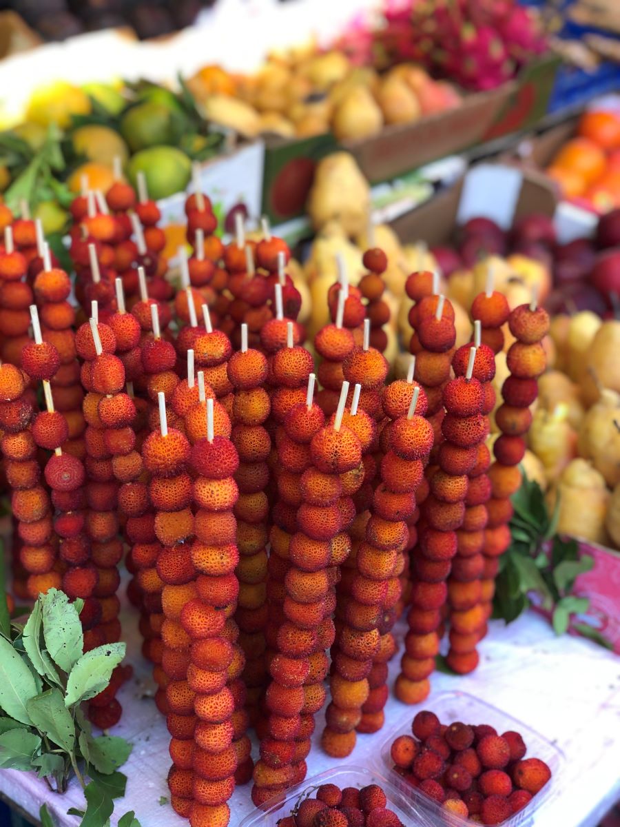 The Grand & Petit Socco of Tangier Morocco - lyfe abroad